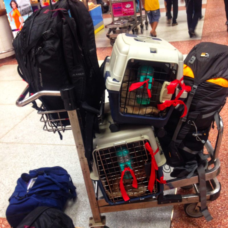 Relocating to Indonesia: An Expat’s Tips and Advices In A New Country